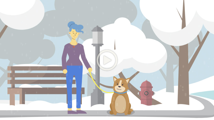 Cold Weather Pet Safety Tips | Sunshine Animal Hospital