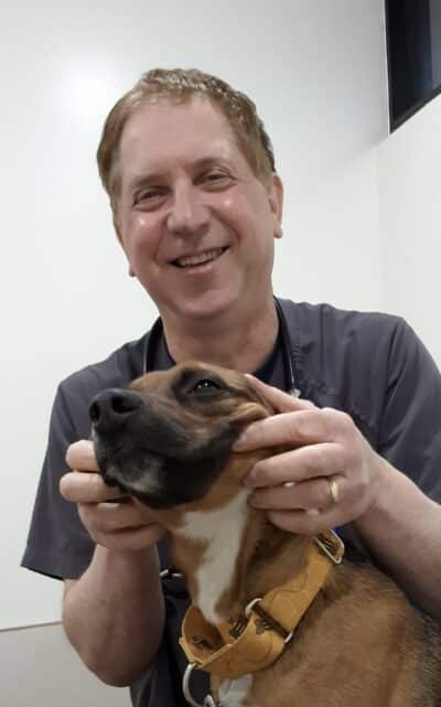 Sunshine Animal Hospital | Veterinarian Annandale VA | Animal Hospital ...