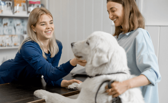 Sunshine Animal Hospital | Veterinarian Annandale VA | Animal Hospital ...