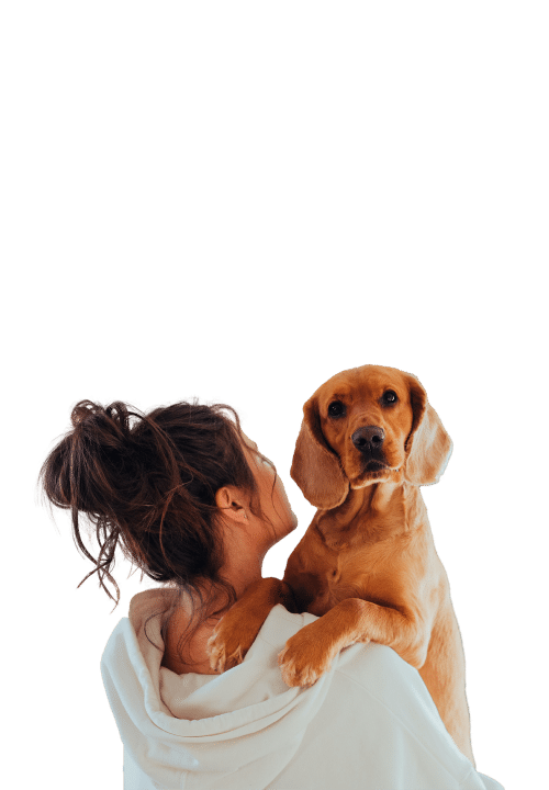 Sunshine Animal Hospital | Veterinarian Annandale VA | Animal Hospital ...