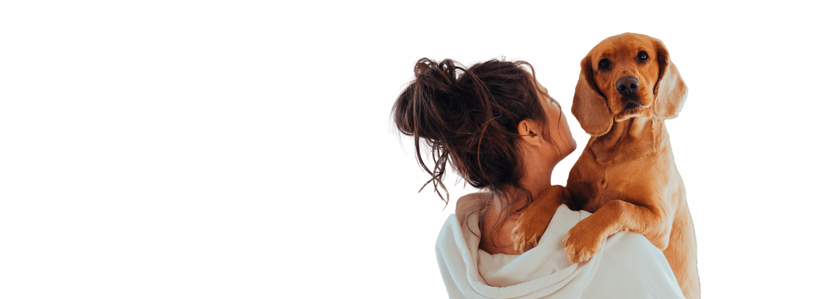 Sunshine Animal Hospital | Veterinarian Annandale VA | Animal Hospital ...